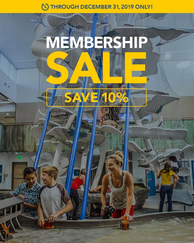 2019_Membership_Sale-2-640x800 | The Discovery