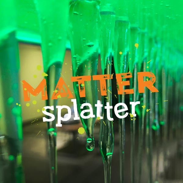 Funding Priorities | The Discovery