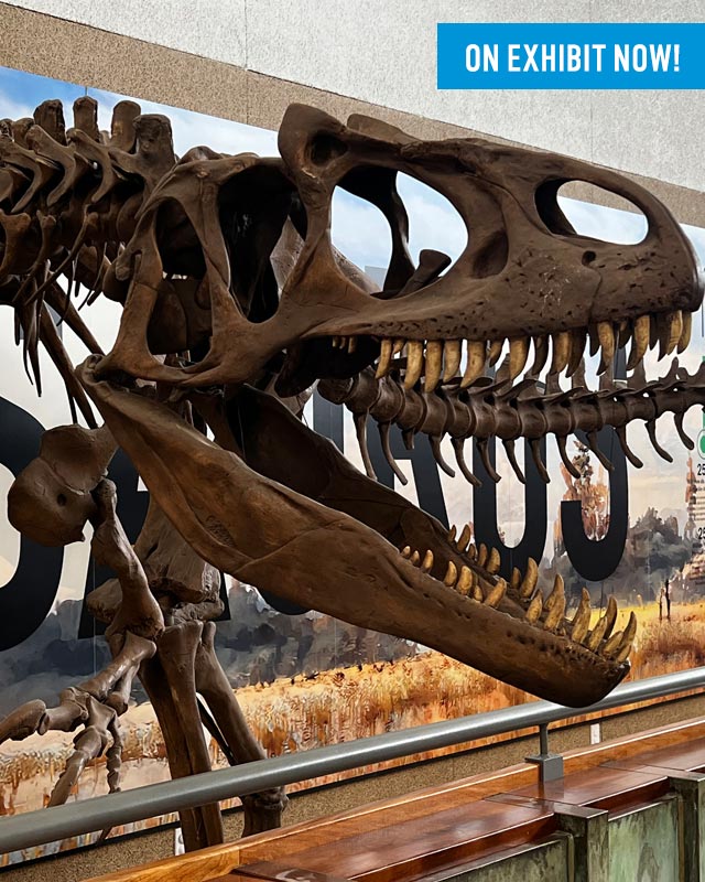 The Discovery | Hands-on Science Museum in Downtown Reno, NV